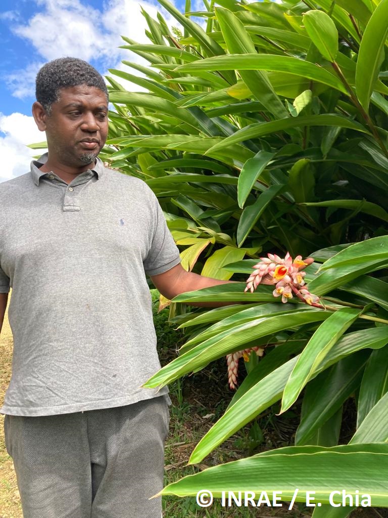 Accueil - Portrait Christophe Latchman